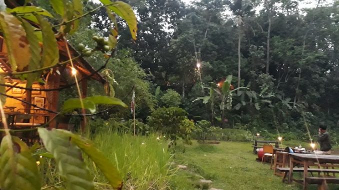 Ramai di Pusat Kota, Rumah Kopi Ranin Tawarkan Suasana Desa - AgriFood.id